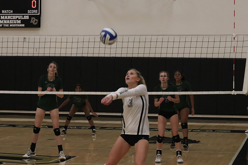 Mustangs volleyball ranked second in California — The Collegian